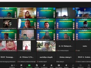 WEBINAR PERINGATAN HANI 2024 OLEH DINAS KESEHATAN PROVINSI JAWA TENGAH ...